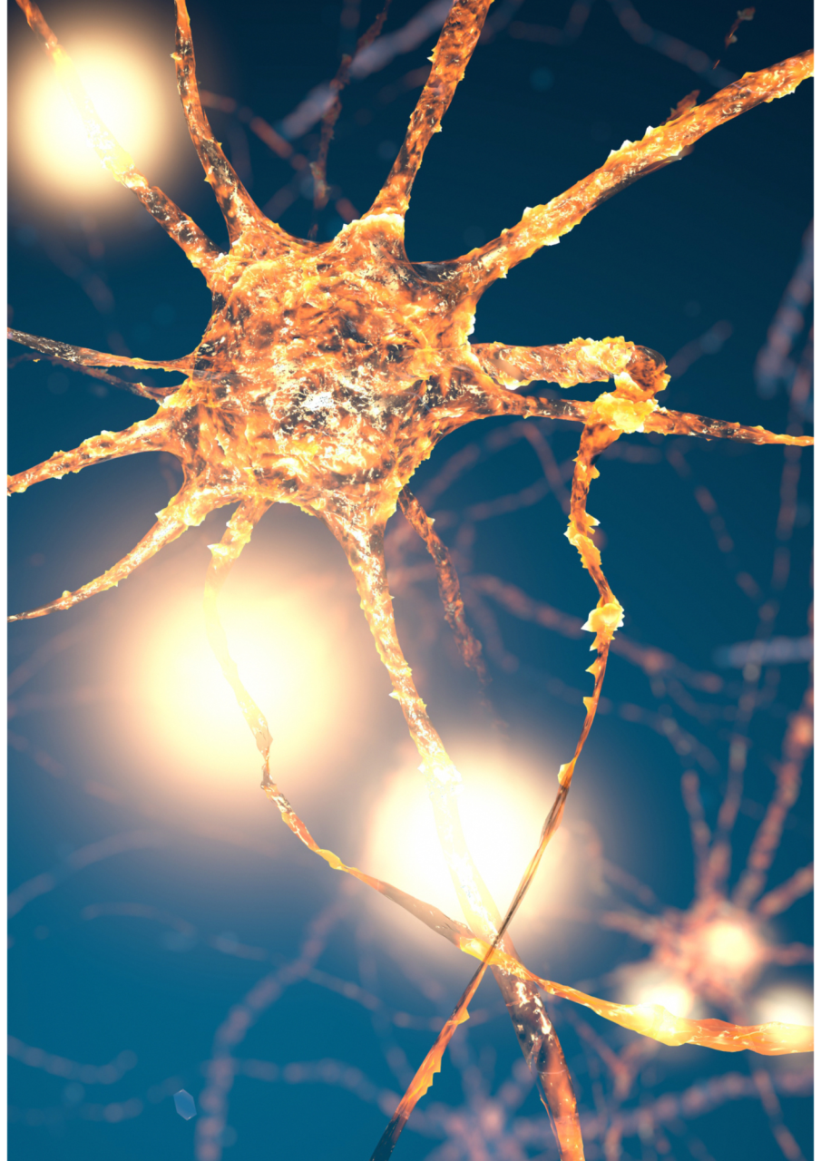 APPELS A PROJETS ARSLA 2023 - ARSLA