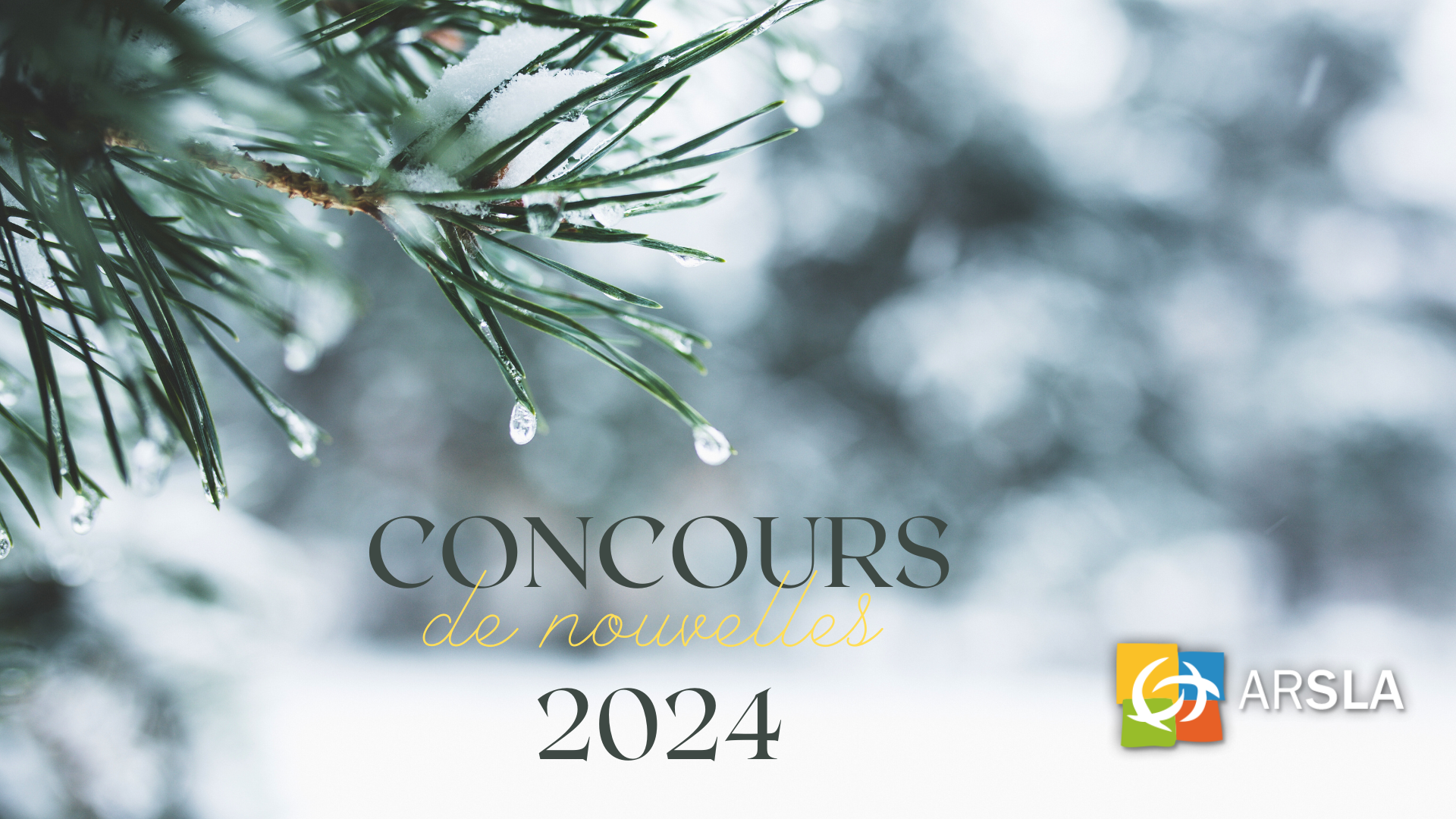 A vos plumes ! Lancement du "Concours de nouvelles 2024" - ARSLA